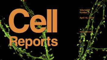 Pharmacology Home | Graduate School